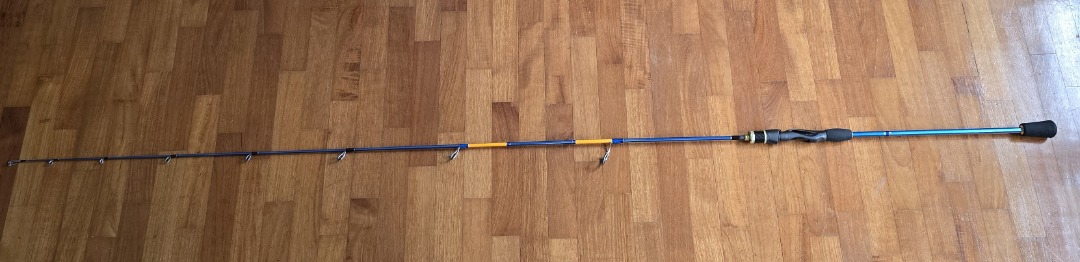 TOKKOU Thunder King Light Jigging Rod, Sports Equipment, Fishing on ...