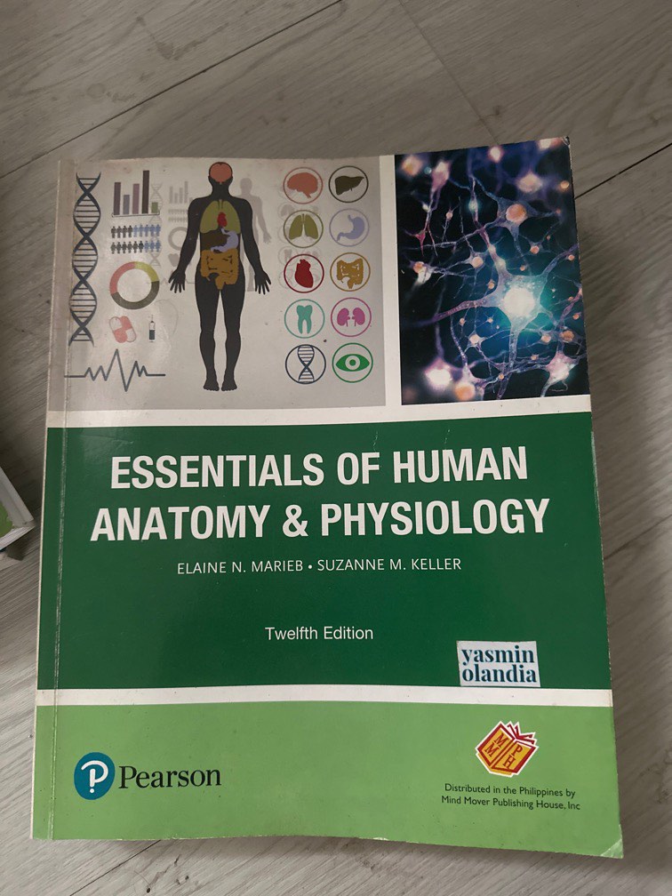 Essentials of Human Anatomy & Physiology - 12th edition, Hobbies & Toys ...