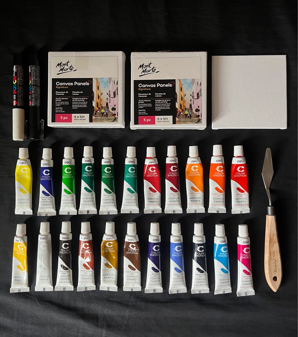 Painting Materials (Acrylic Paint + Posca Paint + Canvas Panel ...