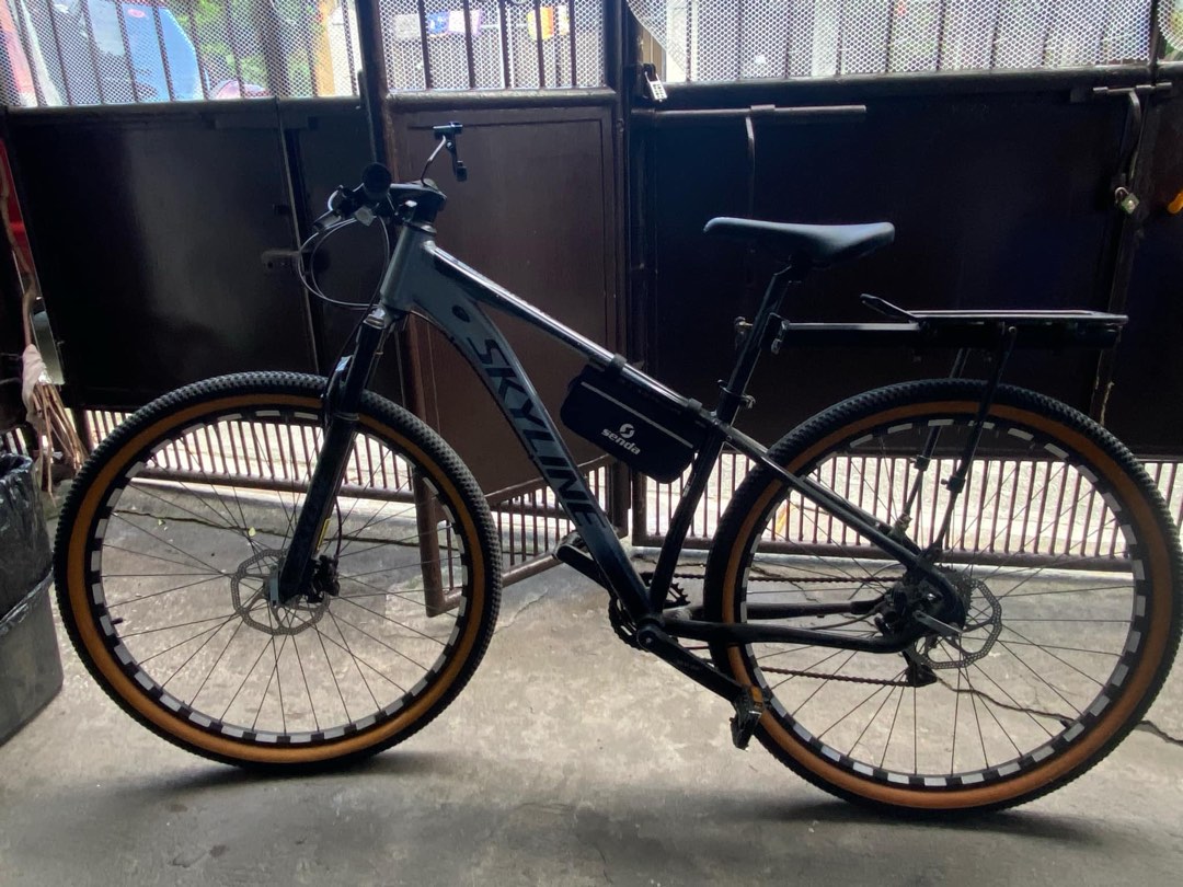 Skyline Bike, Sports Equipment, Bicycles & Parts, Bicycles on Carousell