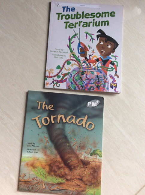 Primary 3 reader : the Tornado / the Troublesome Terrarium, Hobbies ...