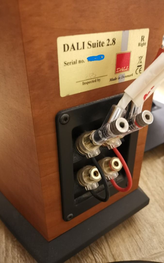 Dali suite 2.8 speaker audiophile floor standing speakers 好聲座地喇叭, 音響器材 ...