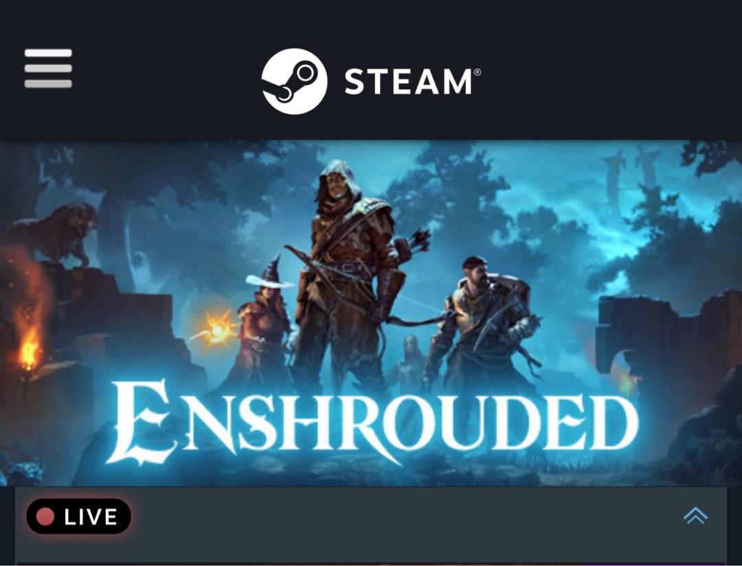 Enshrouded STEAM | FULL GAME, Video Gaming, Video Games, Others on ...