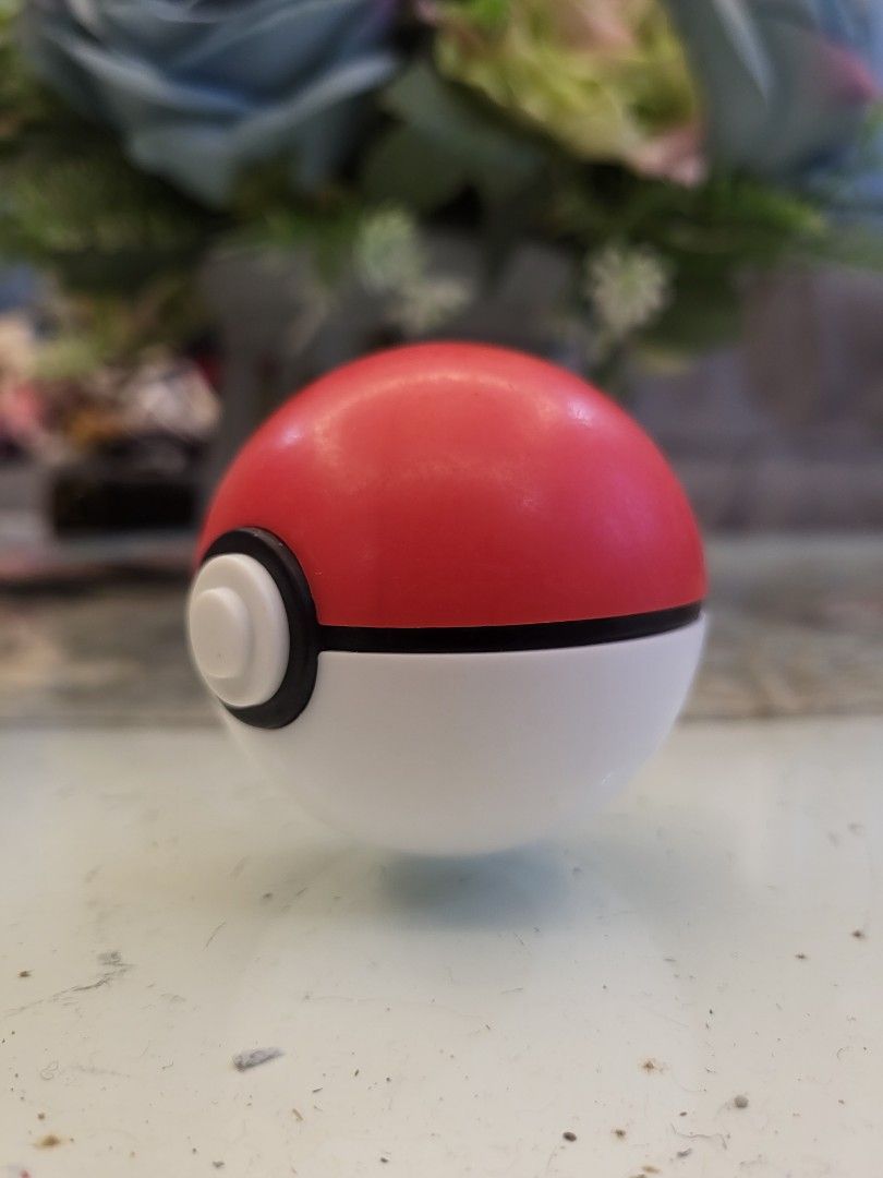 Pokemon Pokeball Hard Plastic Display, Hobbies & Toys, Toys & Games on ...