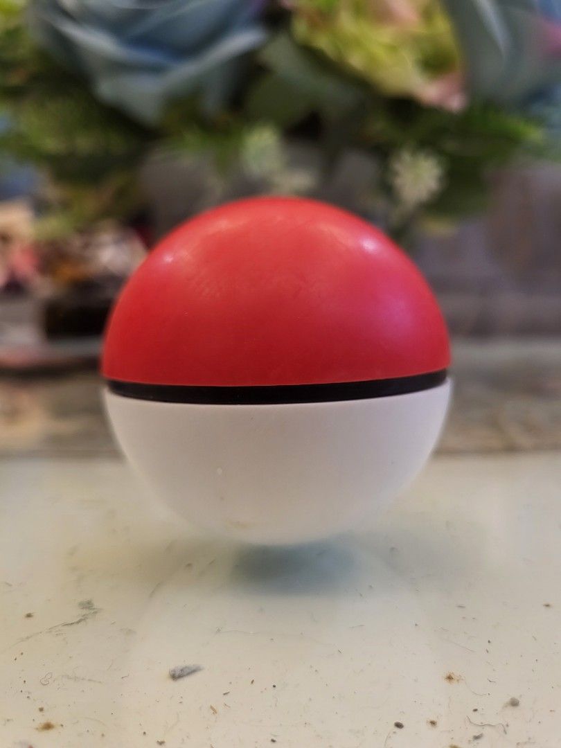 Pokemon Pokeball Hard Plastic Display, Hobbies & Toys, Toys & Games on ...