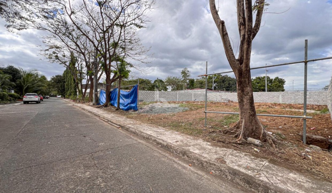 Flat 500 sqm Residential Lot for sale in Mapayapa Village Quezon City ...