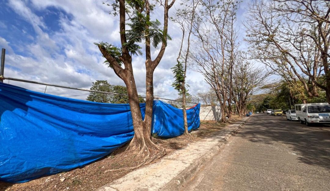 Flat 500 sqm Residential Lot for sale in Mapayapa Village Quezon City ...