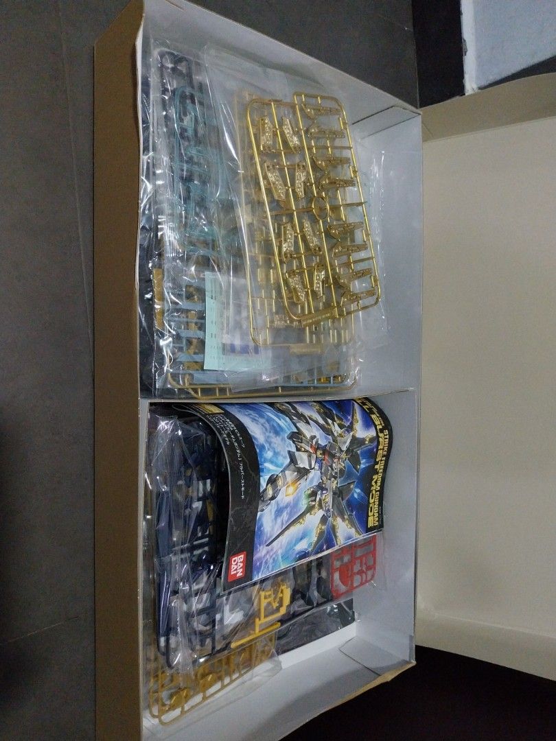 MG Strike Freedom Gundam Full Burst Mode, Hobbies & Toys, Toys & Games ...