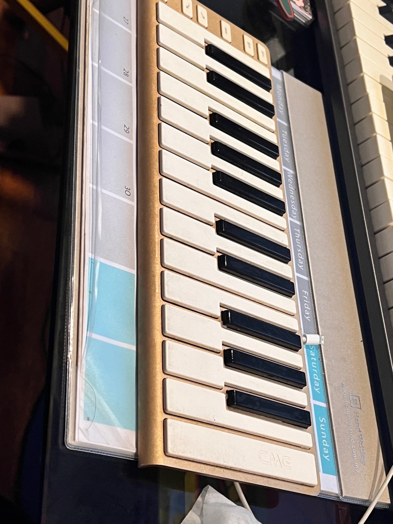 CME X-Key 25 Gold, Hobbies & Toys, Music & Media, Musical Instruments ...