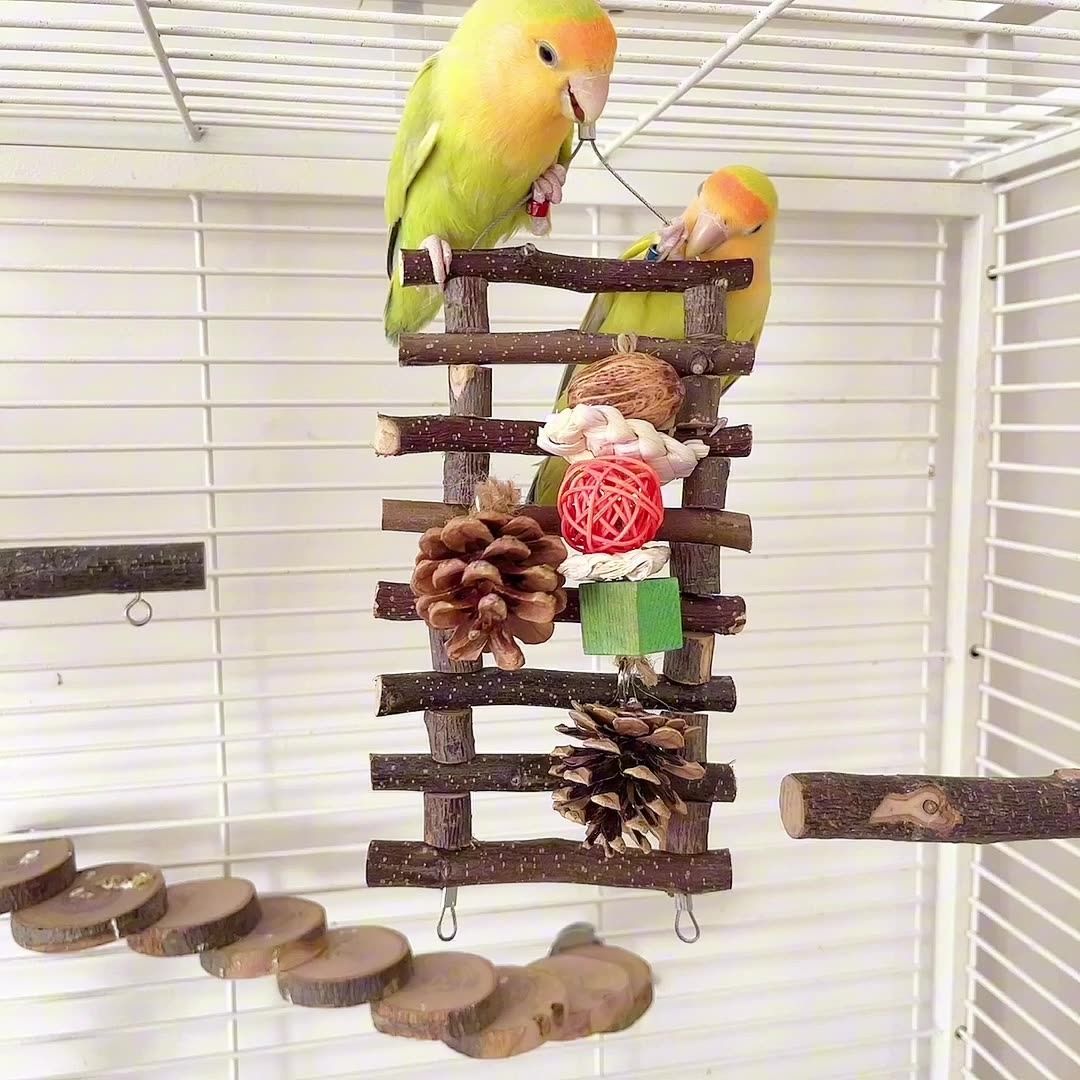 Parrot Toy | Branch Climbing Ladder | Bird Toy | Pine Cone | Takraw ...