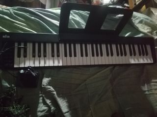 Davis 61 keys Piano Keyboard, Hobbies & Toys, Music & Media, Musical ...