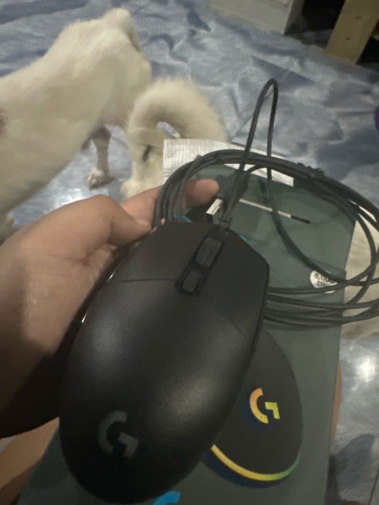 Brand New Logitech G102, Computers & Tech, Parts & Accessories, Mouse ...