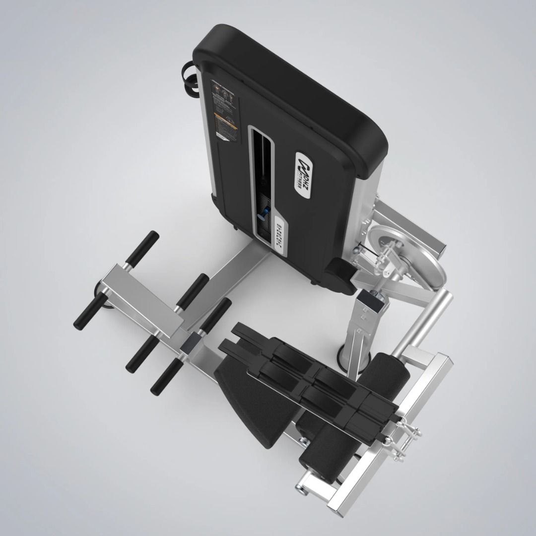 DHZ APPLE Abdominal&Back Extension U3088A, Sports Equipment, Exercise ...