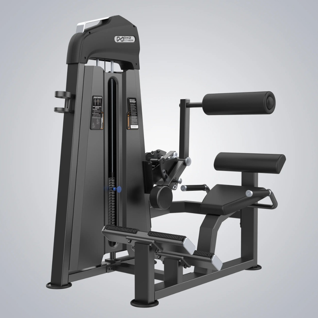 DHZ EVOST Back Extension U3031C, Sports Equipment, Exercise & Fitness ...