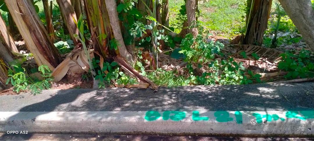 150 square meter lot for sale in Golden Meadows, Binan, Laguna ...