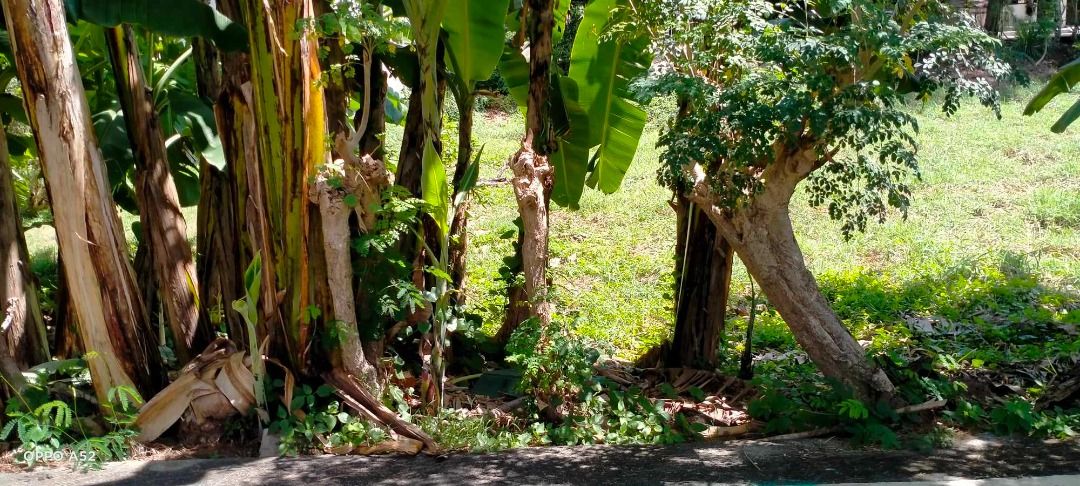 150 square meter lot for sale in Golden Meadows, Binan, Laguna ...