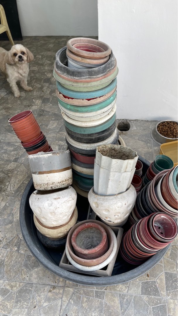 Assorted Used Pots, Furniture & Home Living, Gardening, Pots & Planters ...