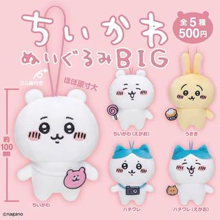 Chiikawa Mitamemo Book Clip Kurimanju & Shisa, Hobbies & Toys, Toys & Games on Carousell