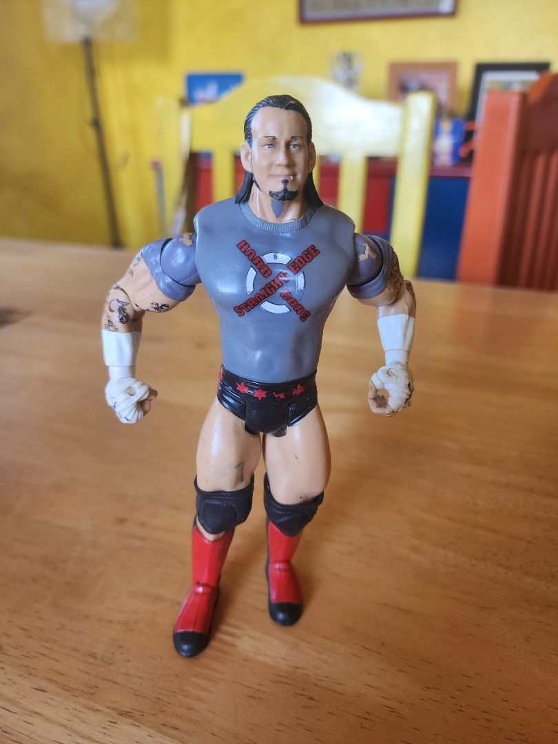 Classic WWE Legends CM Punk Action Figure, Hobbies & Toys, Toys & Games ...