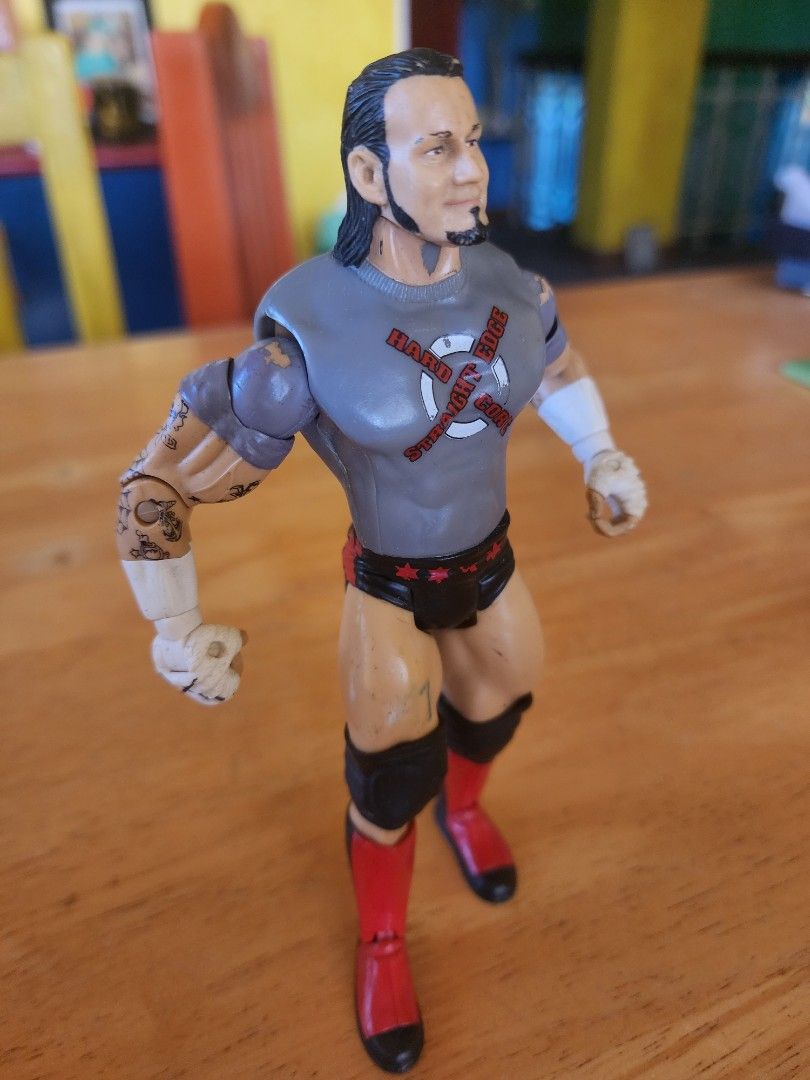 Classic WWE Legends CM Punk Action Figure, Hobbies & Toys, Toys & Games ...