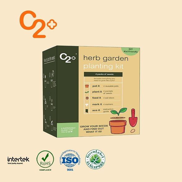 C2+ DIY Planting Kit, Furniture & Home Living, Gardening, Plants ...
