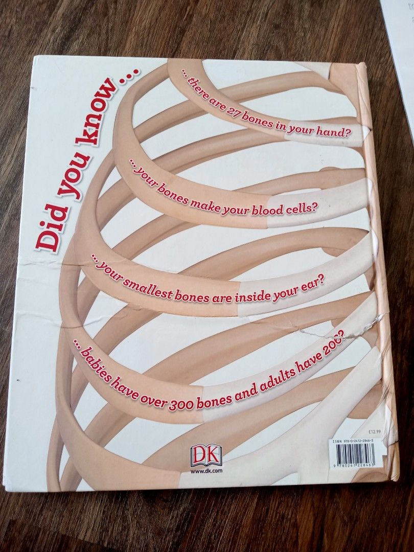DK the skeleton book, Buku & Alat Tulis, Buku Anak-Anak di Carousell