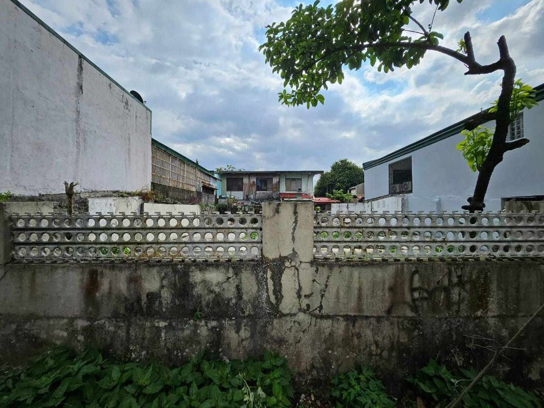 FOR SALE VACANT LOT IN SCOUT AREA, BARANGAY SACRED HEART QUEZON CITY ...