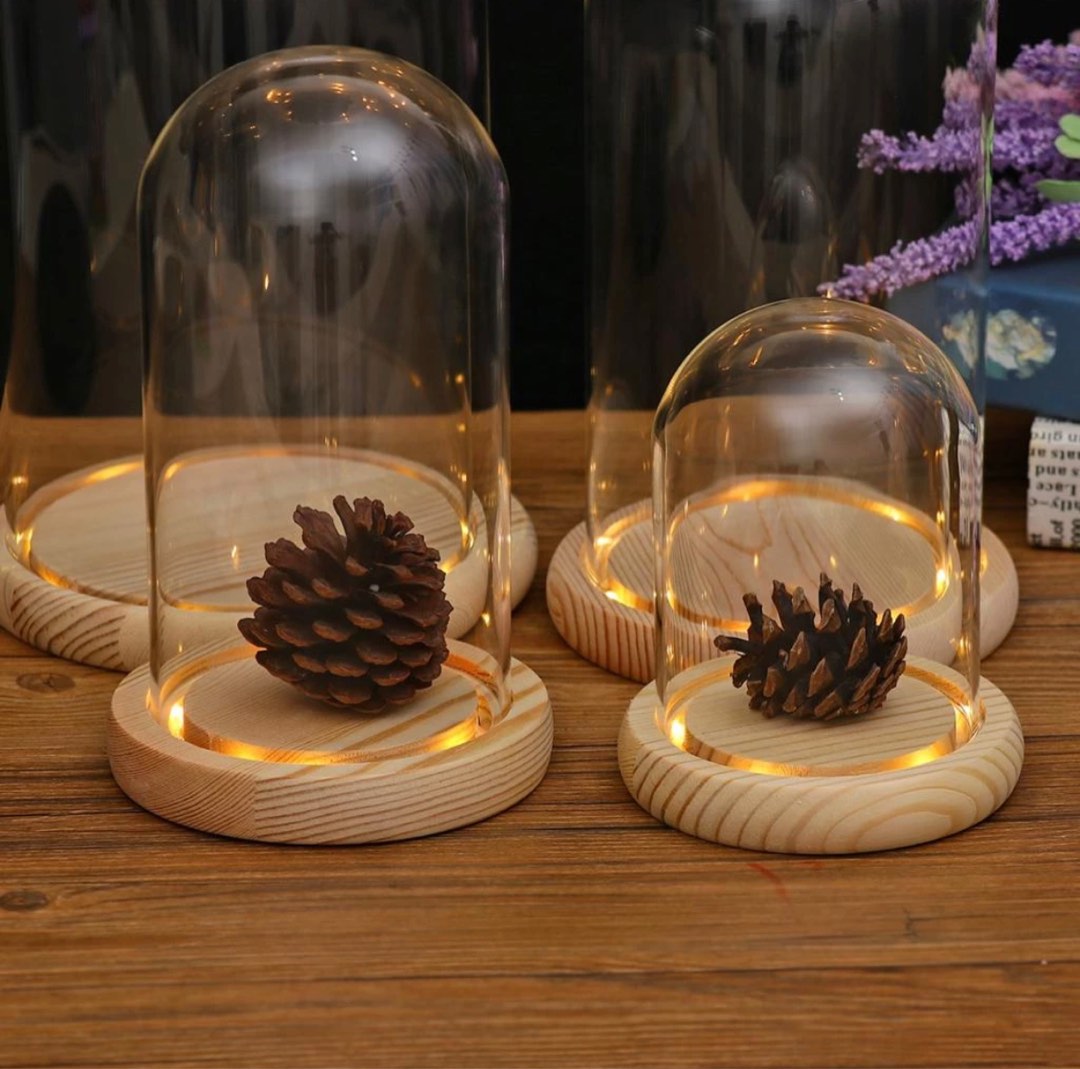 Glass dome jar / terrarium container for preserved flowers, Furniture ...