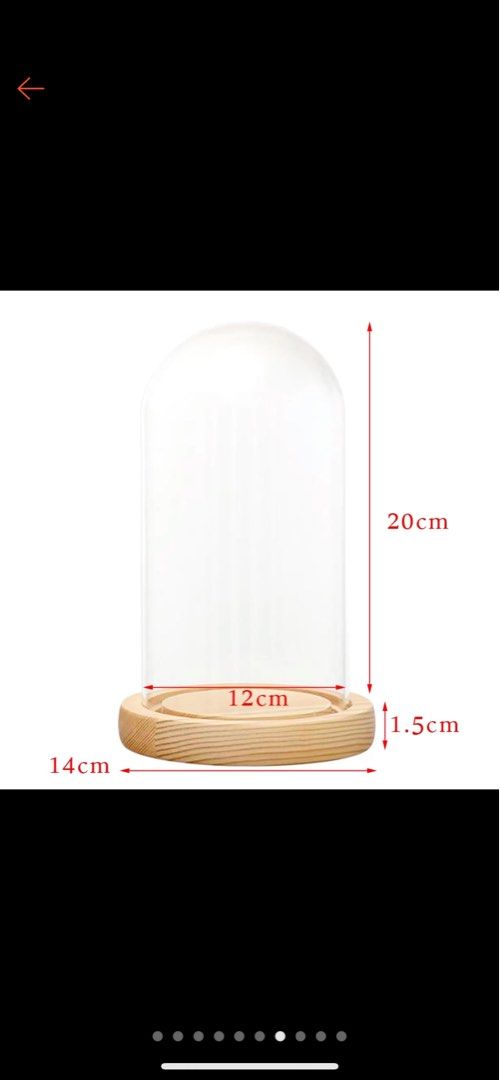 Glass dome jar / terrarium container for preserved flowers, Furniture ...