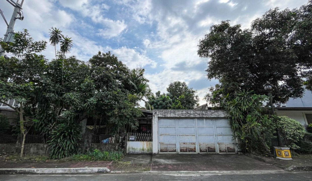 bonny serrano lot for sale - View all bonny serrano lot for sale ads in ...