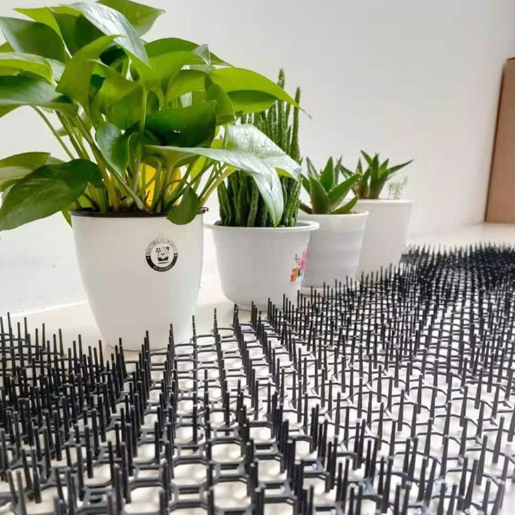 Defender Bird Spike Cat Dog Harmless Plastic Anti-Climbing Fence ...