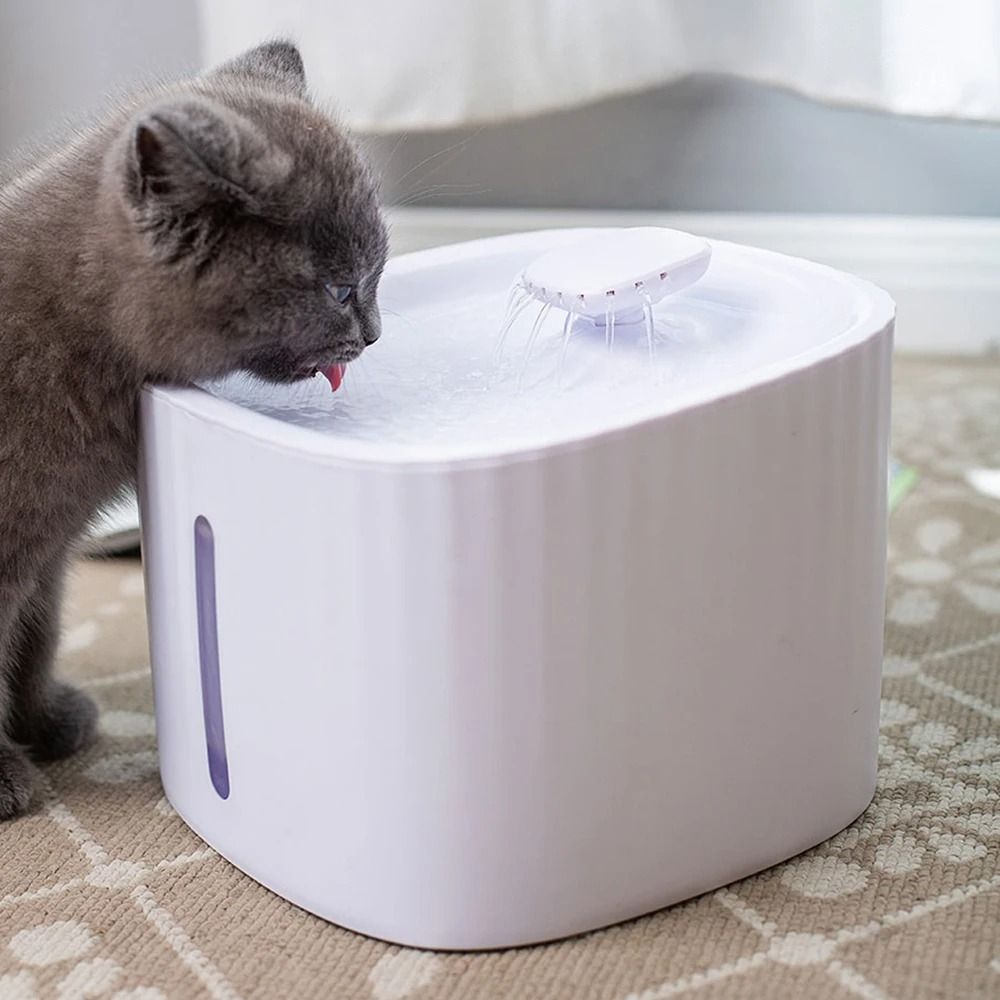 DOG AND CAT AUTOMATIC WATER DRINKING FOUNTAIN, Pet Supplies, Homes ...