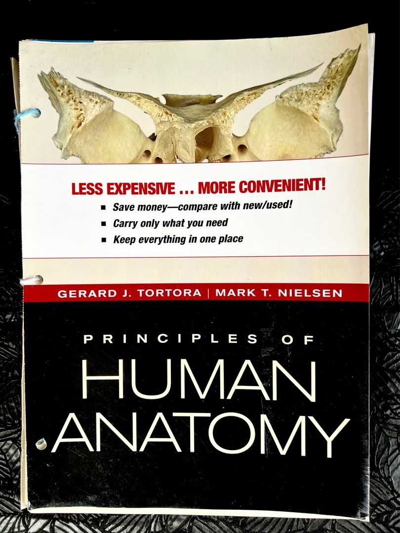 Principles of Human Anatomy (Colored), Hobbies & Toys, Books ...