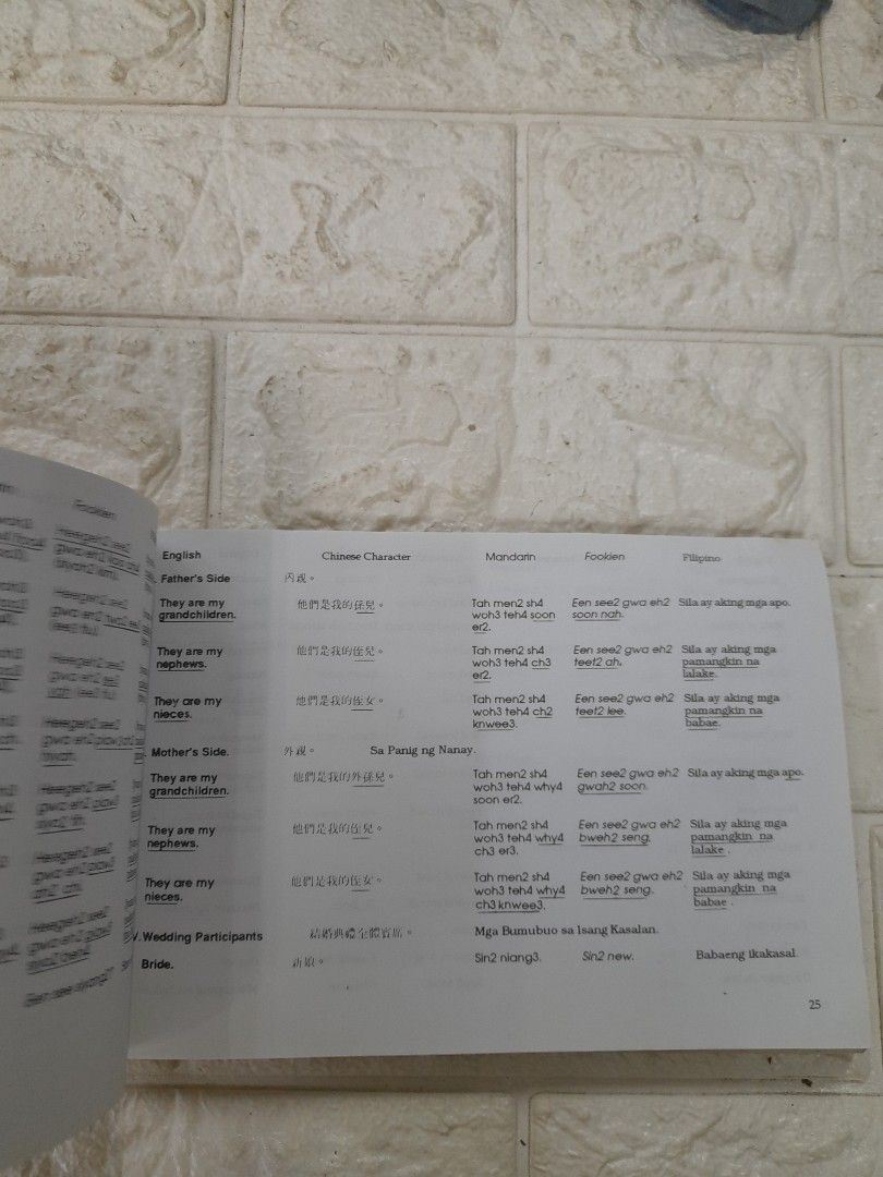 Chinese Filipino Sanayang Aklat Sa Pagsasalita ng Intsik at Ingles ...