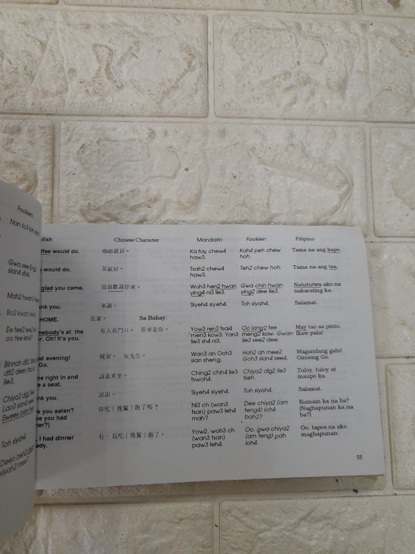 Chinese Filipino Sanayang Aklat Sa Pagsasalita ng Intsik at Ingles ...