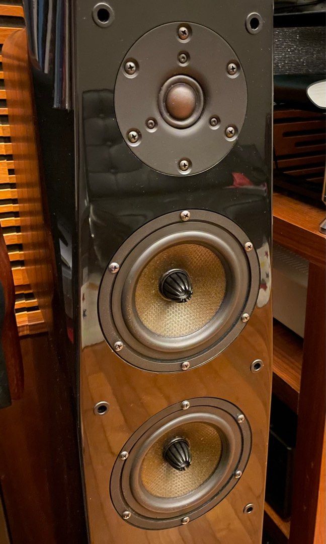 Focus Audio FP80SE speaker, Audio, Soundbars, Speakers & Amplifiers on ...