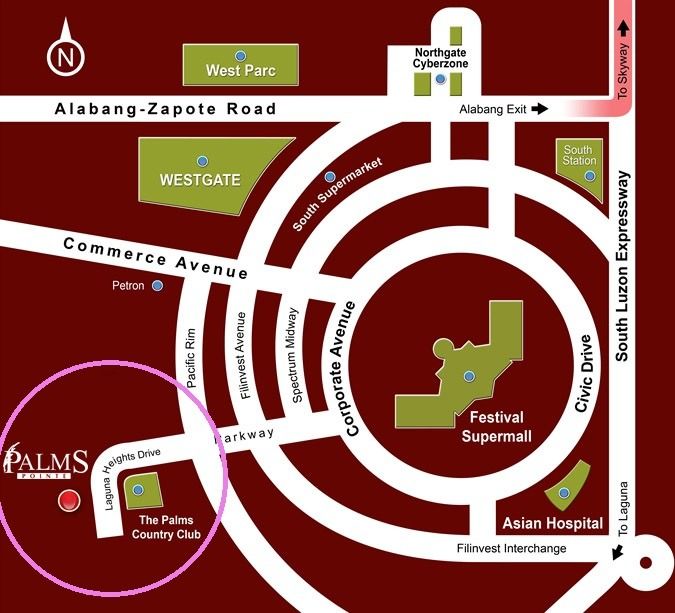 House and Lot For Sale in Palms Pointe Alabang 1 KM From Filinvest Exit ...