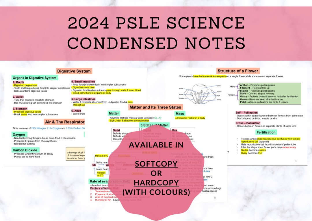 2024 PSLE SCIENCE CONDENSED NOTES, Hobbies & Toys, Books & Magazines ...