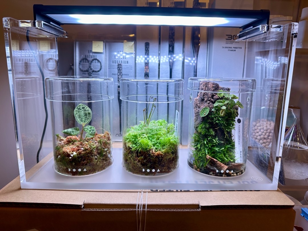 Ada Lab Paluda light stand 30cm, 寵物用品, 寵物家品及其他 - Carousell