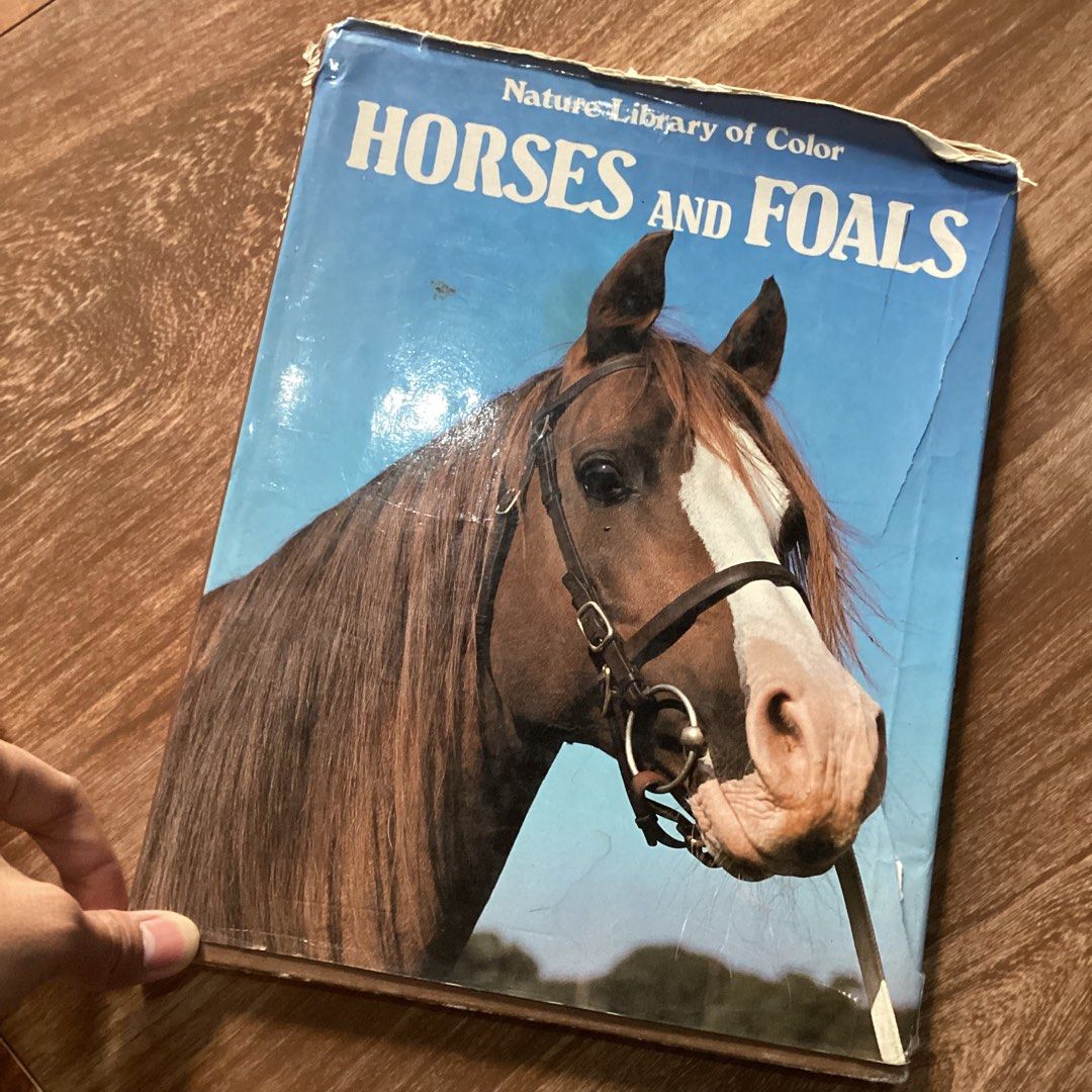 ANIMALS BOOK SET | How to care a Horse and Goldish and other Fish ...