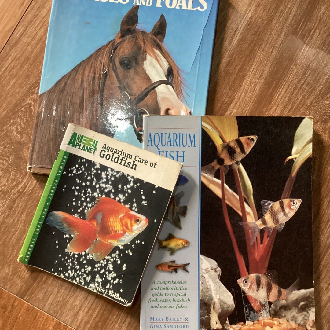 ANIMALS BOOK SET | How to care a Horse and Goldish and other Fish ...