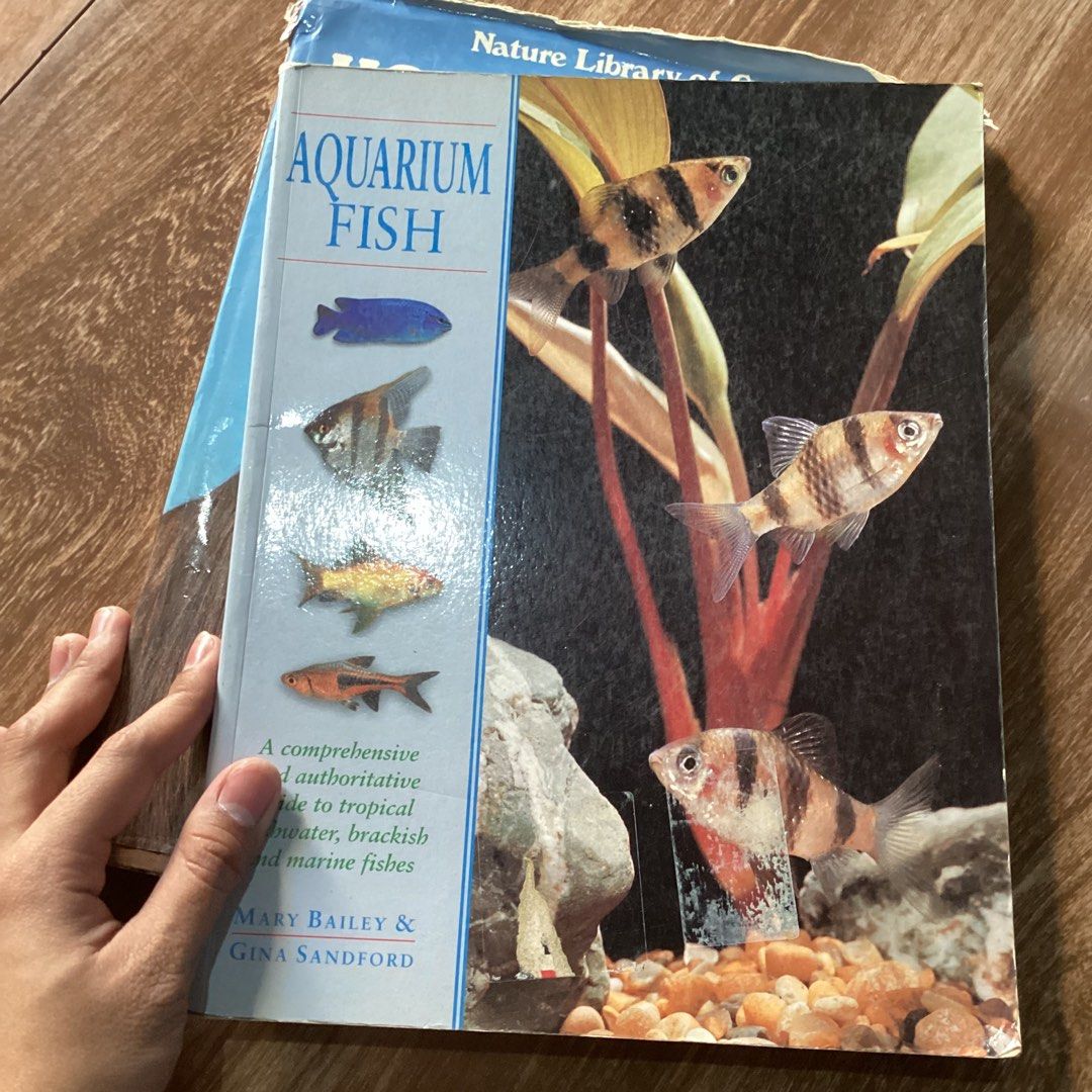 ANIMALS BOOK SET | How to care a Horse and Goldish and other Fish ...