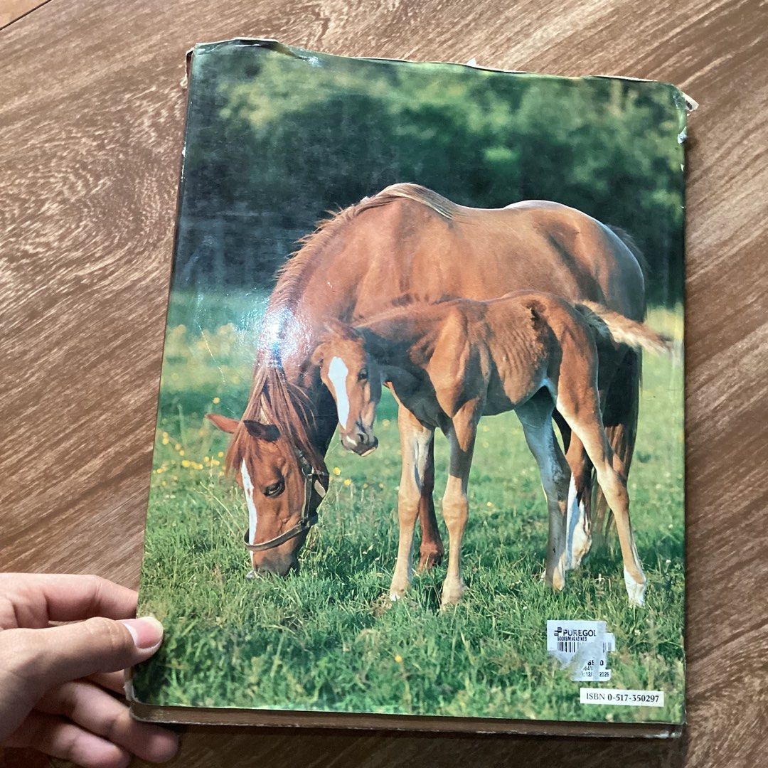 ANIMALS BOOK SET | How to care a Horse and Goldish and other Fish ...