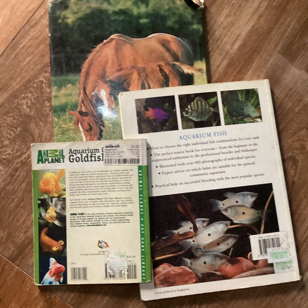 ANIMALS BOOK SET | How to care a Horse and Goldish and other Fish ...