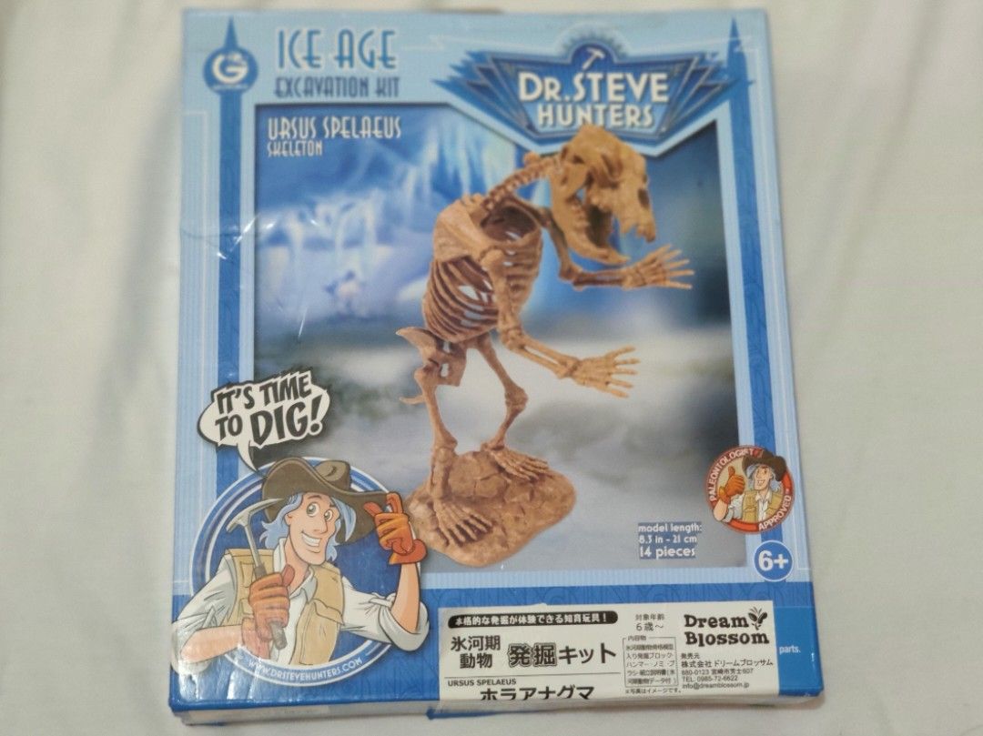 Dr. Steve Hunters - Ice Age Excavation Kit ( Ursus Spelaeus), Hobbies ...