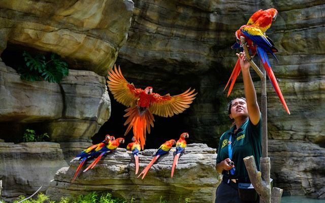 USS Tickets Universal Studios Singapore | Night Safari Tickets | Bird ...
