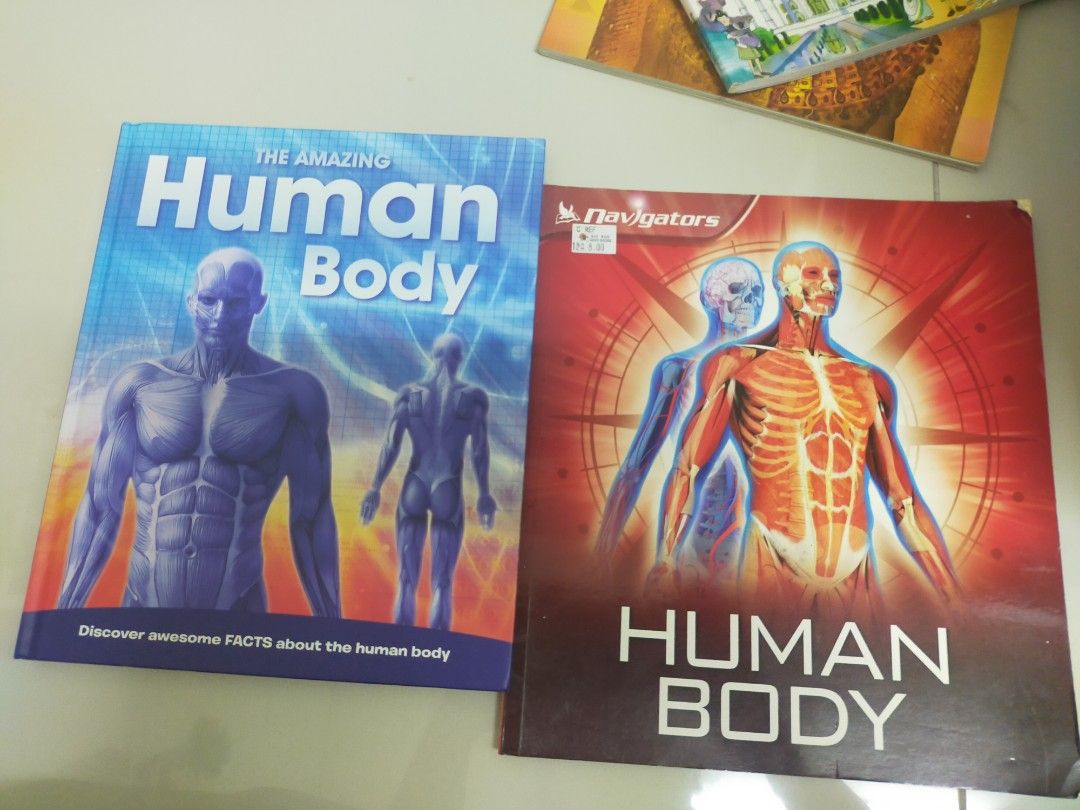 Human body biology, Hobbies & Toys, Books & Magazines, Assessment Books ...