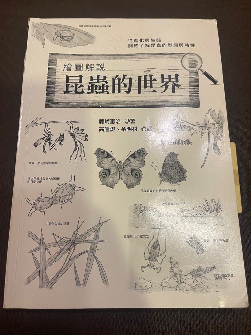 [L628] 繪圖解說昆蟲的世界 藤崎憲治 著, 書籍、休閒與玩具, 書本及雜誌, 小說與非小說主題在旋轉拍賣