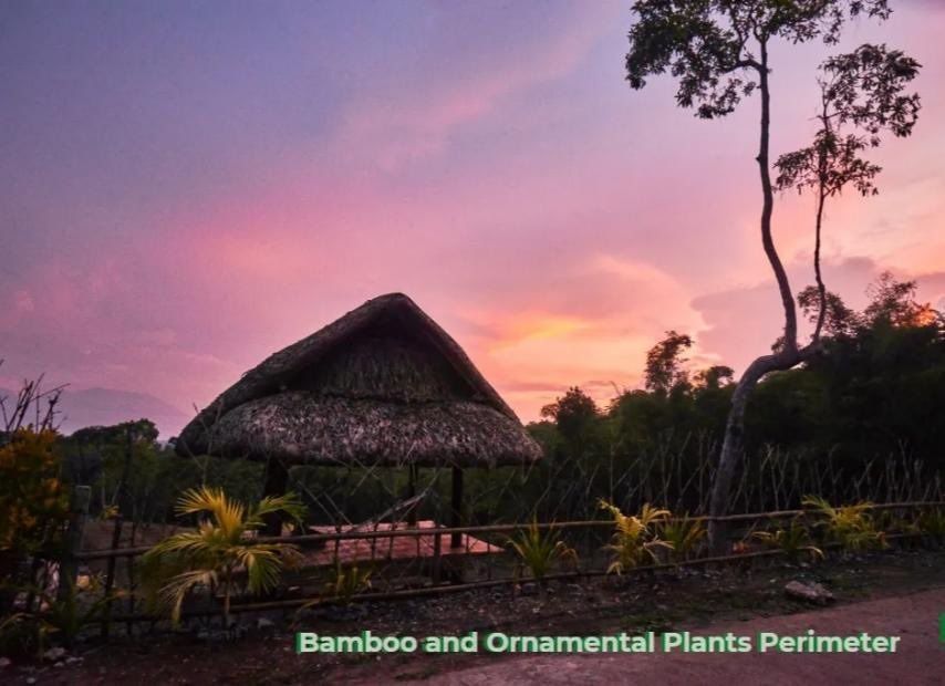 Caliraya, Cavinti, Laguna Farm and Resort area, Property, For Sale, Lot ...