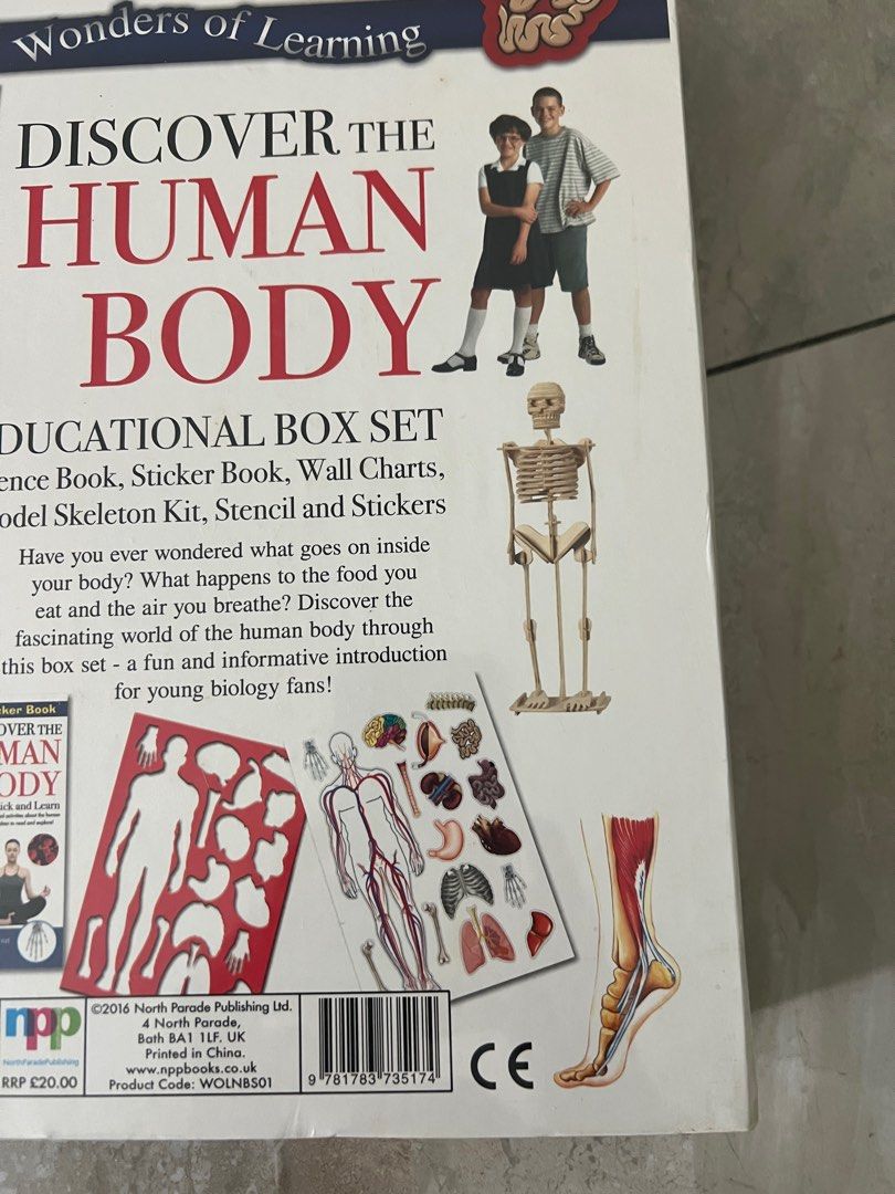 Wonders of Learning - Discover the Human Body - Educational Box Set - A ...
